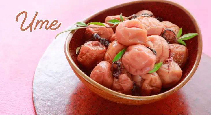 A Guide to Japanese Fruits