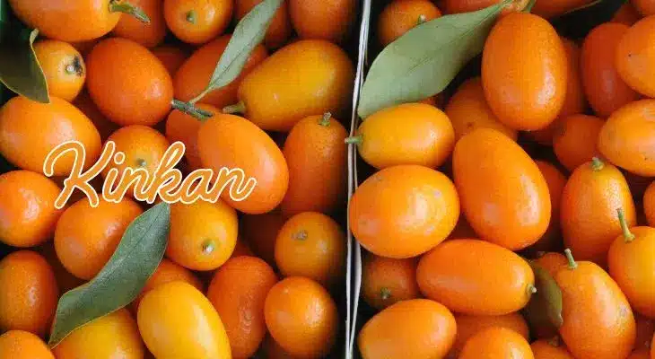 A Guide to Japanese Fruits