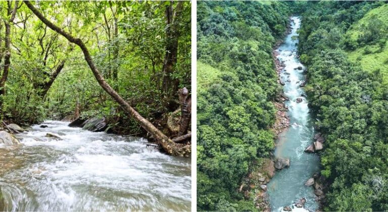 Kudremukh Trek Itinerary: Complete Travel Guide