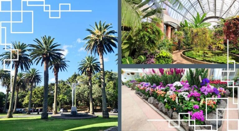 Auckland Domain: Route, Map, Hotels, Cafe -Itinerary plan