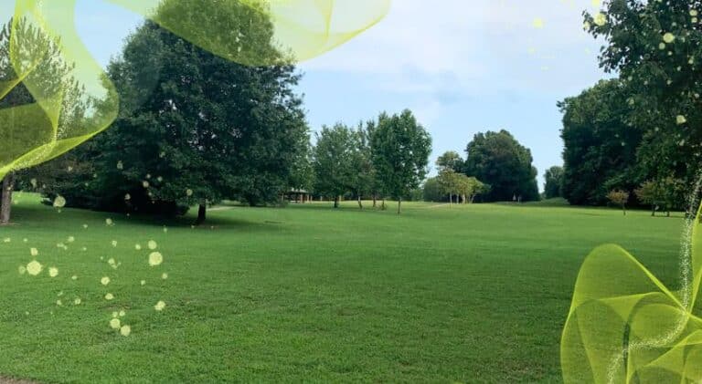 Barfield Crescent Park: Complete Travel Guide