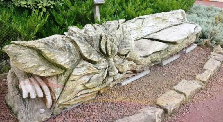 Kirkley Hall Zoological Gardens: A Complete Travel Guide!