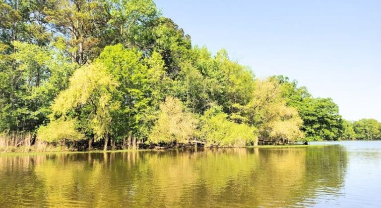 Explore Lake Weiss in Georgia, USA - Itinerary Plans