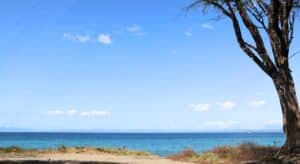 Matapalo Beach Guide: Best Time, Activities & Where to Stay